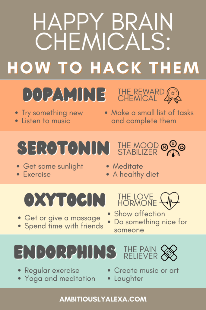 Happy Brain Chemicals: What They Are and How to Hack Them - Ambitiously ...